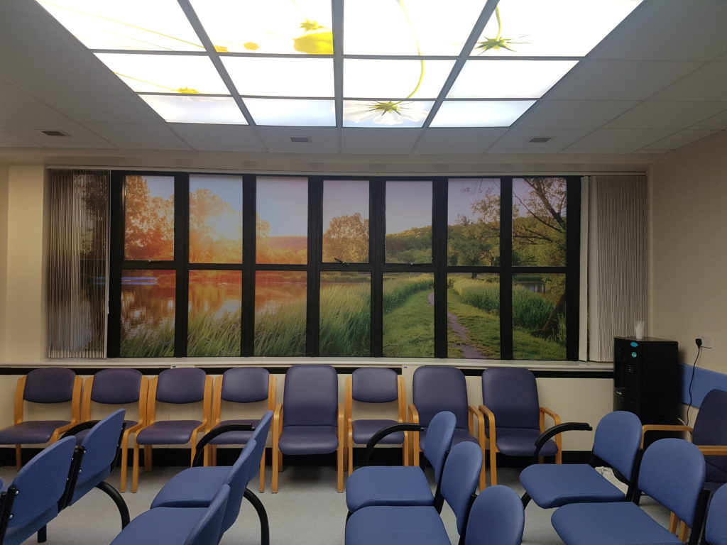 Office Feature Wall Ideas | Graphic Arts Group